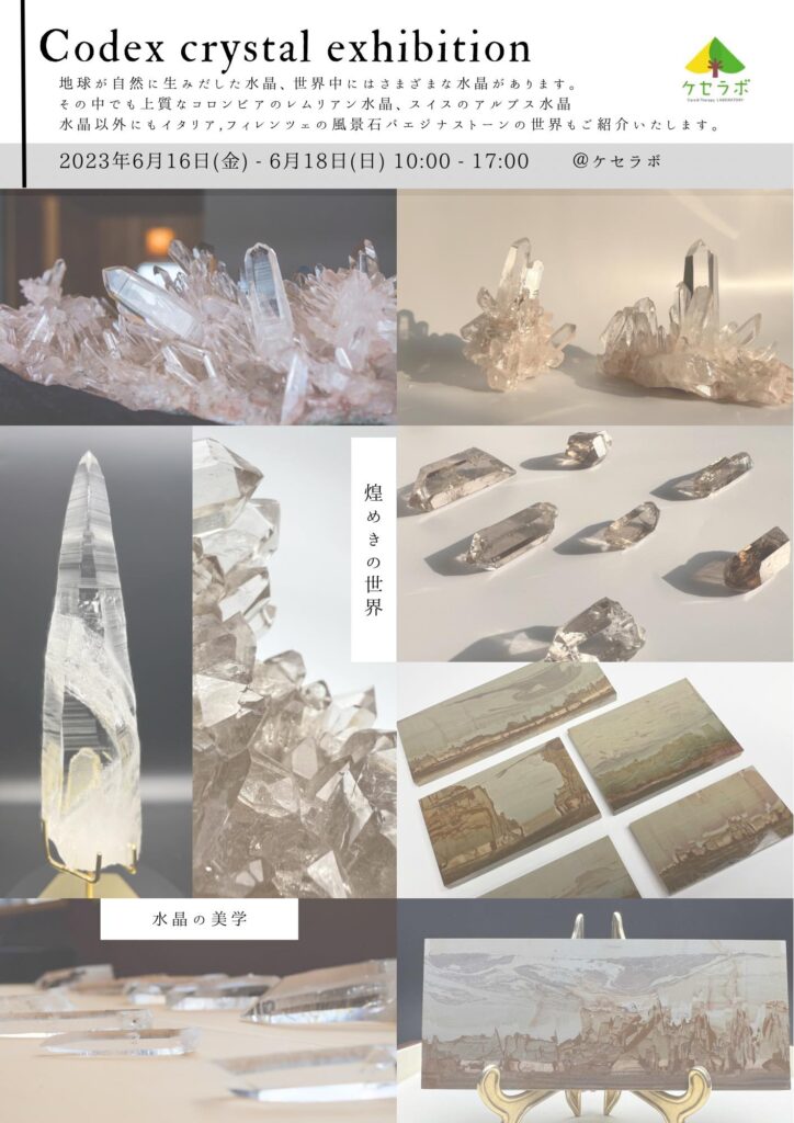 【6/16～18】Codex crystal exhibition クリスタル展示販売会＠ケセラボ 鹿児島 | ケセラボ